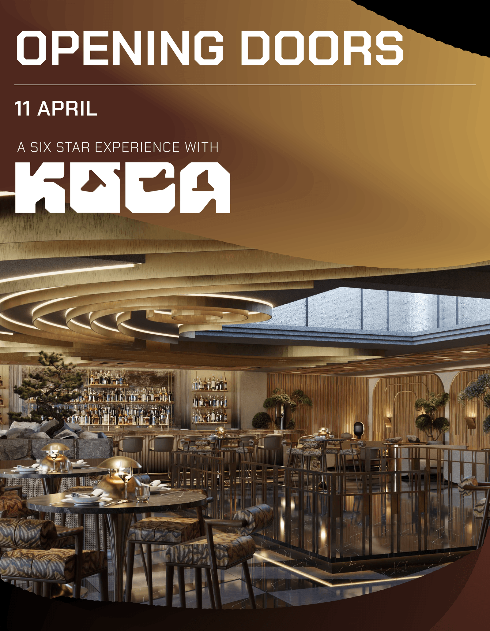 KOCA - The Pulse of the Party